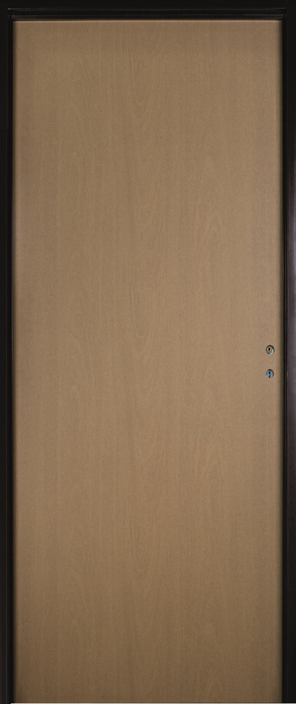 Puerta Nativa ENCHAPADA - 60cm - Marco Chapa N°22-12cm | Hexa ...